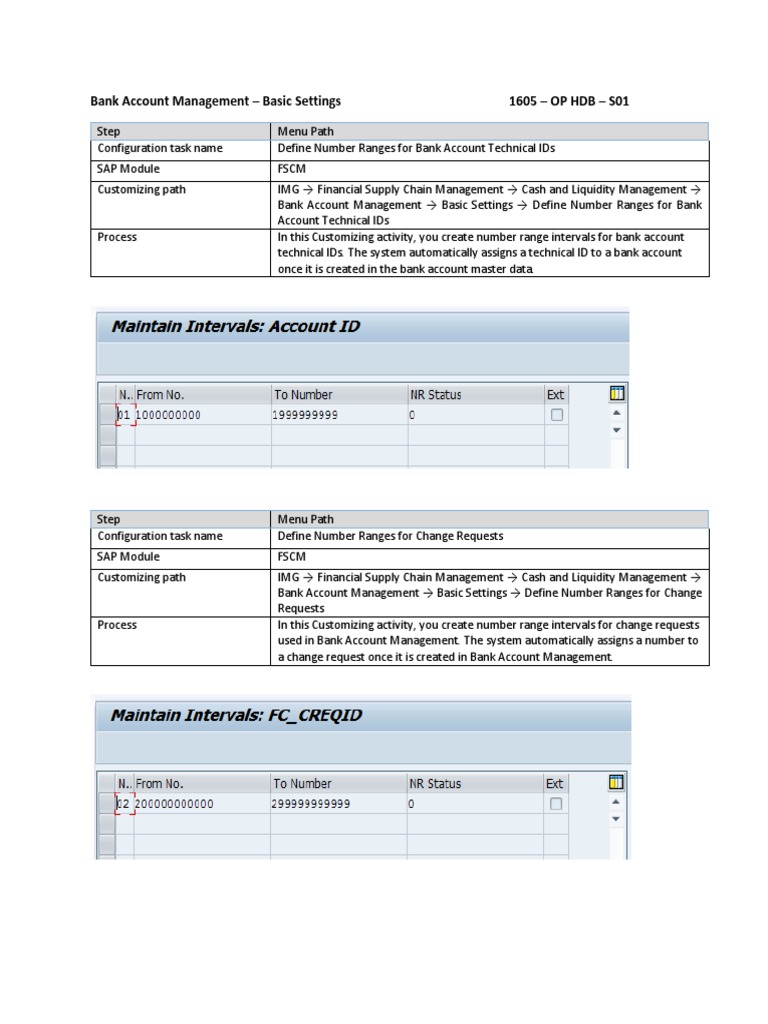 Configuring Bank Account Management Settings and Number Ranges in SAP ...