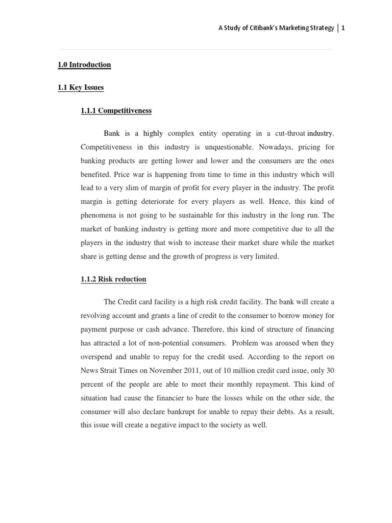 Citibank's Marketing Strategy Analysis | PDF | Market Segmentation ...