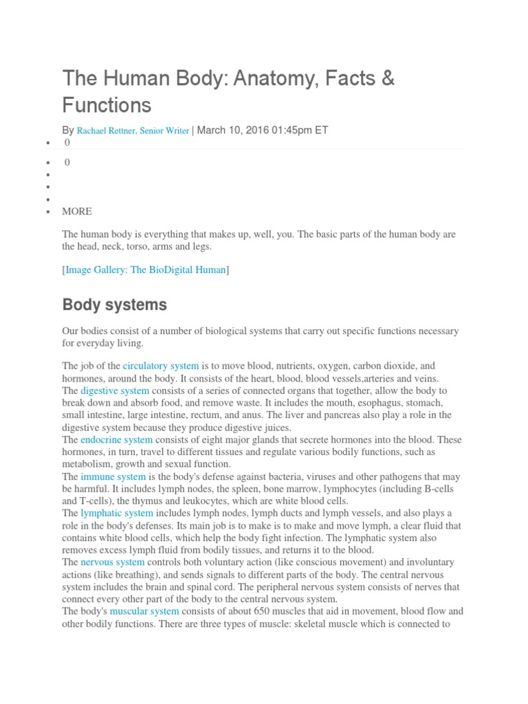 The Human Body | PDF | Human Body | Lymphatic System