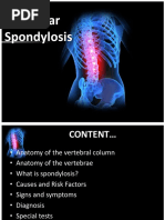 Pelvic Crossed Syndrome & Back Pain | PDF | Pelvis | Chiropractic