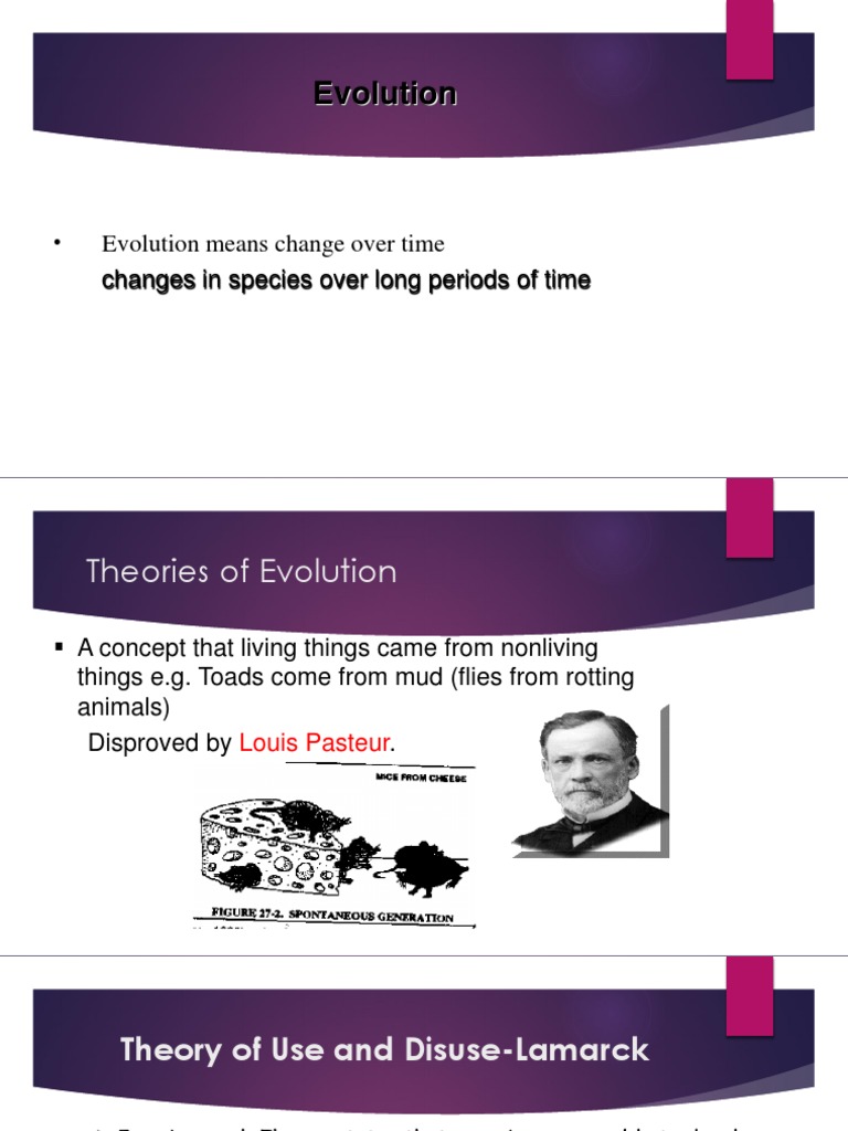 Evolution Through Mutation: How Small Genetic Changes Lead to Large ...