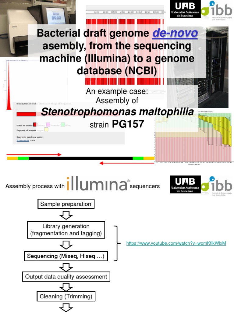 Bacterial Genome Assembly Illumina | PDF | Biotechnology | Organisms