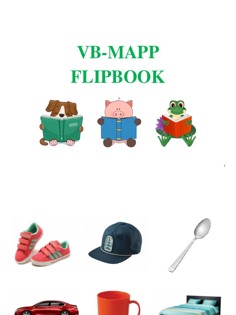 VB-MAPP Flipbook: A Compilation of Skill Acquisition Targets, Prompting Procedures, and Data ...
