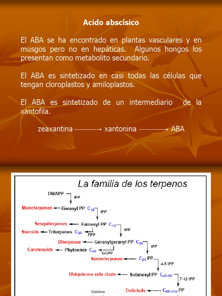 El papel del ácido abscísico (ABA) en el desarrollo y fisiología de las ...