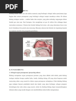 Struktur dan Fungsi Anatomi Hidung | PDF