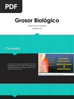 Clasificación de Seibert | PDF | Ciencia y matemáticas