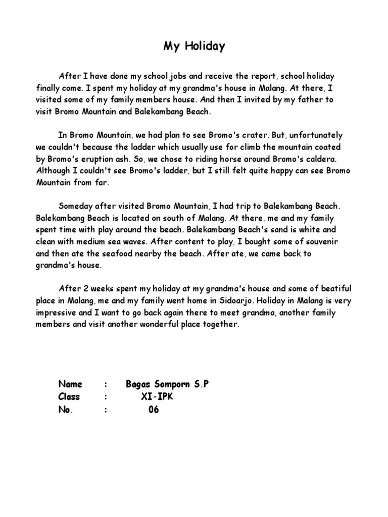 My Holiday Pdf