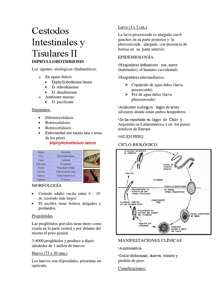 Cestodos Intestinales y Tisulares II | PDF | Diarrea | Especialidades ...