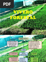 Estructura de Un Vivero Temporal y Permanente | PDF | Clima | Riego