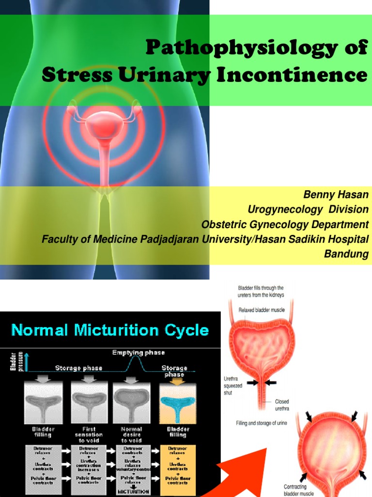 Patofisiology Urinary Incontinence | PDF | Urinary Incontinence ...