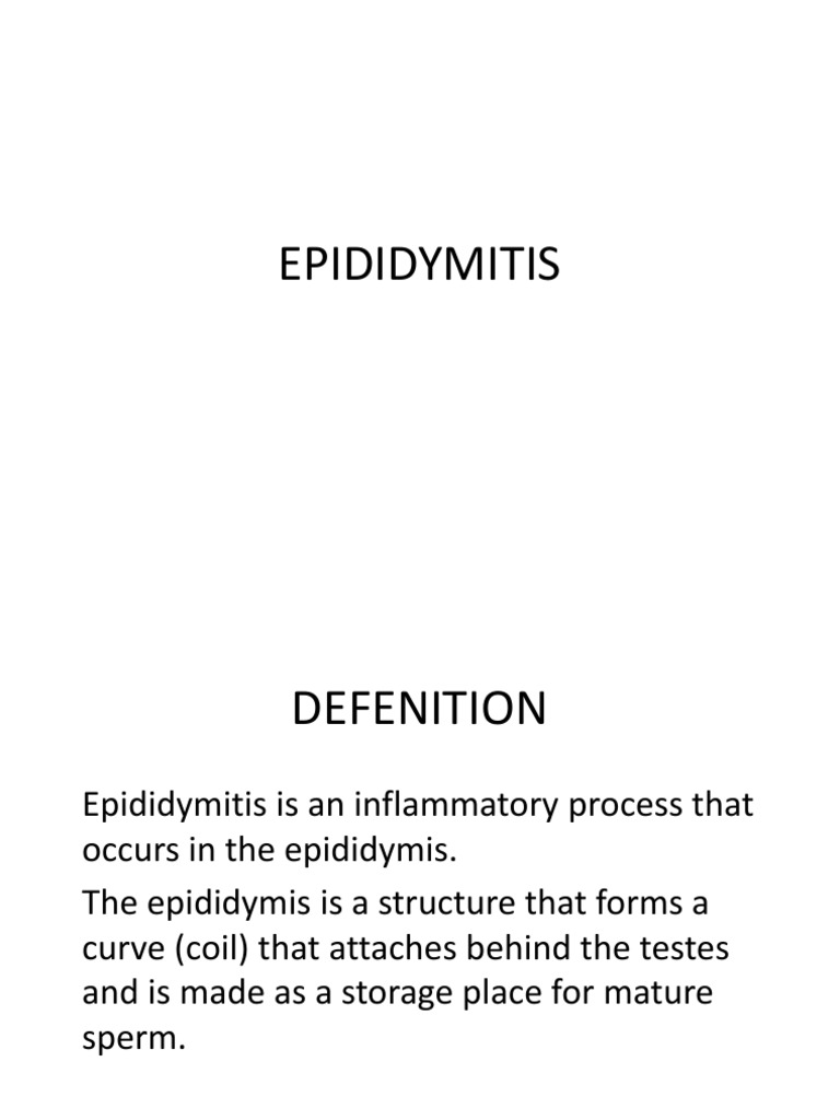 Epididymitis | Clinical Medicine | Diseases And Disorders