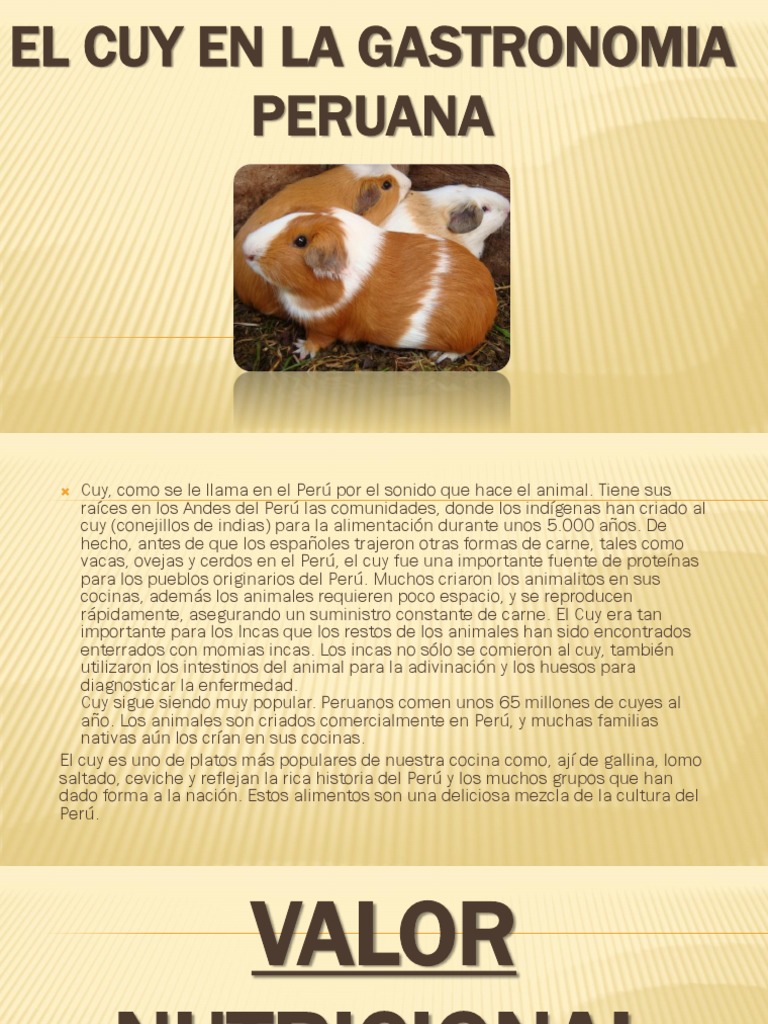 El Cuy en La Gastronomia Peruana | PDF | Cilantro | ensalada