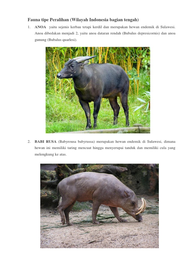 Tipe Fauna 2 | PDF | Sains & Matematika | Sejarah