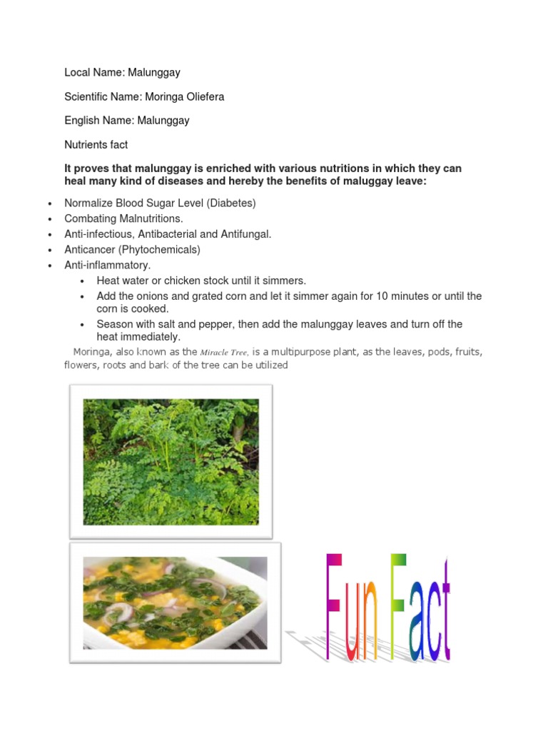 Local Name: Malunggay Scientific Name: Moringa Oliefera English Name ...
