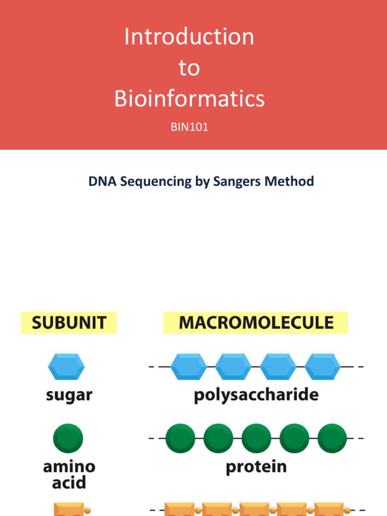 Dna Sequencing by Sanger Method | PDF | Sequencing | Gel Electrophoresis