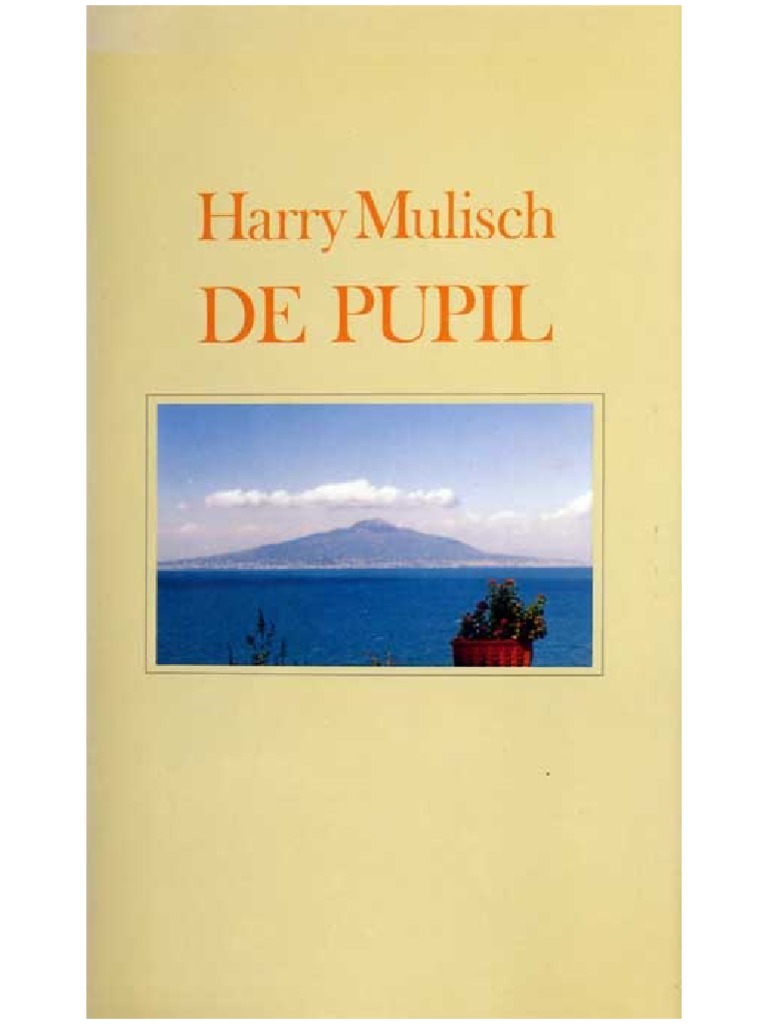 De Pupil Harry Mulisch | PDF