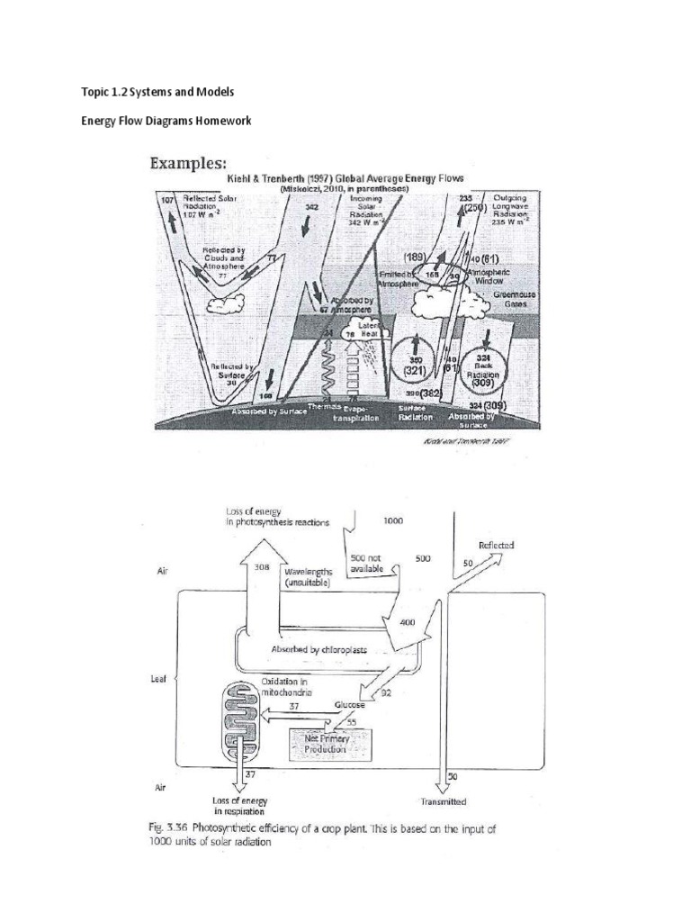 Energy Flow Diagram Homework | PDF