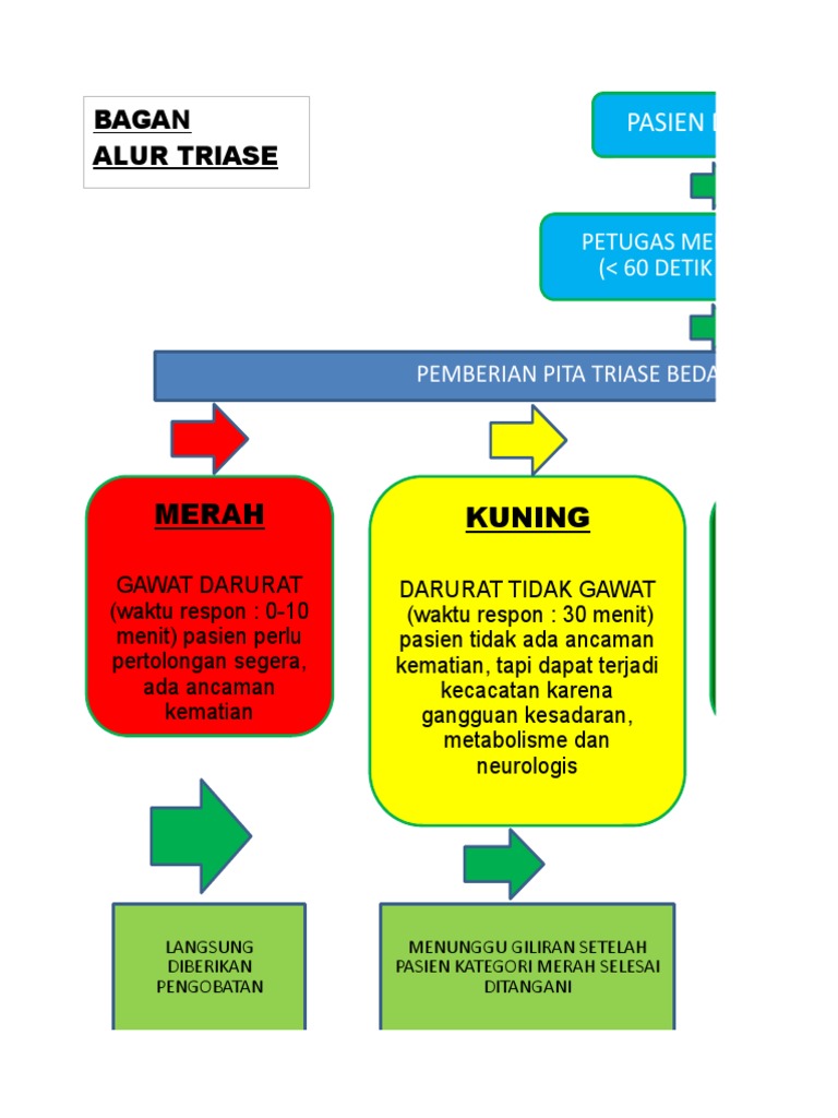 Alur Triase | PDF