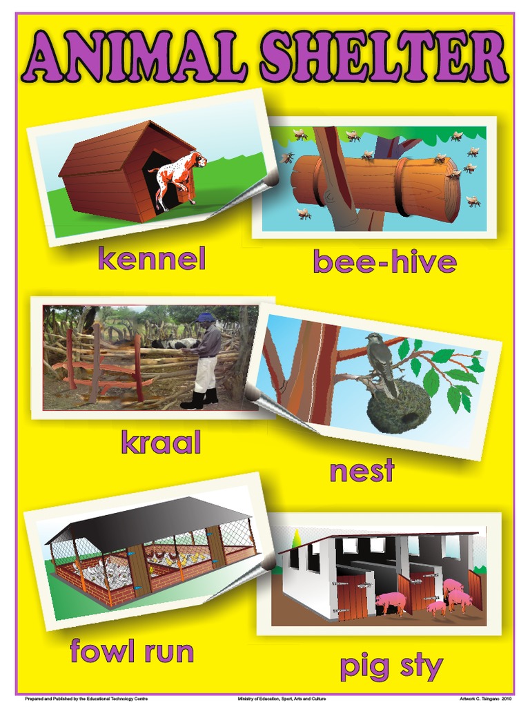 Types of Animal Shelters Explained | PDF