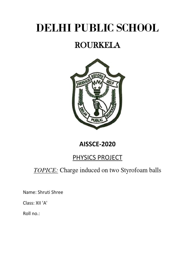 Delhi Public School: Rourkela | PDF