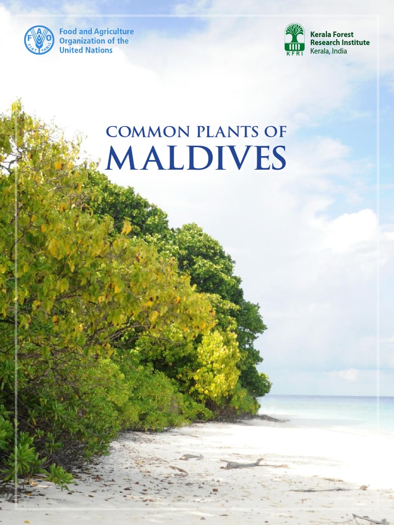 Common Plants of Maldives | PDF | Vegetation | Biodiversity