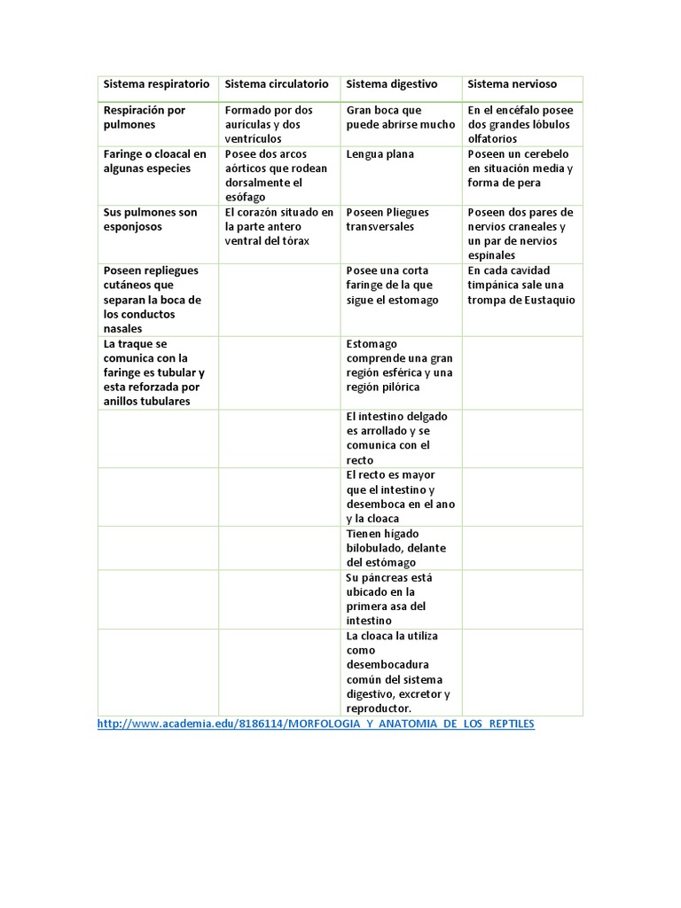 Anatomía de Los Reptiles | PDF | Sistema digestivo humano | Reptil