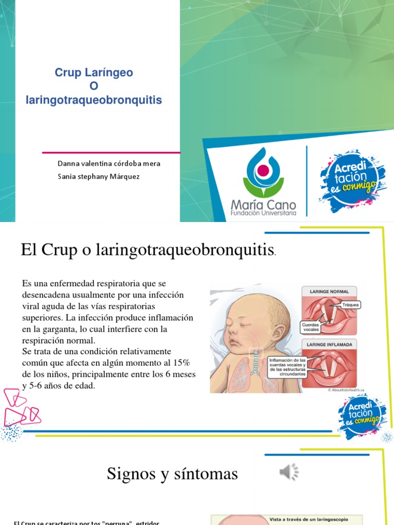 Crup Laringeo | PDF | Virología | Enfermedades y trastornos