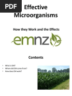 Ib Points To Abitur Grade Conversion Table PDF | PDF