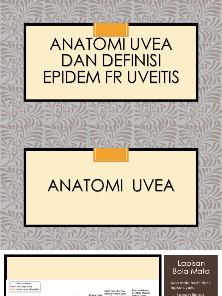 Anatomi Uvea Dan Definisi Epidem FR Uveitis Fiuxxx | PDF