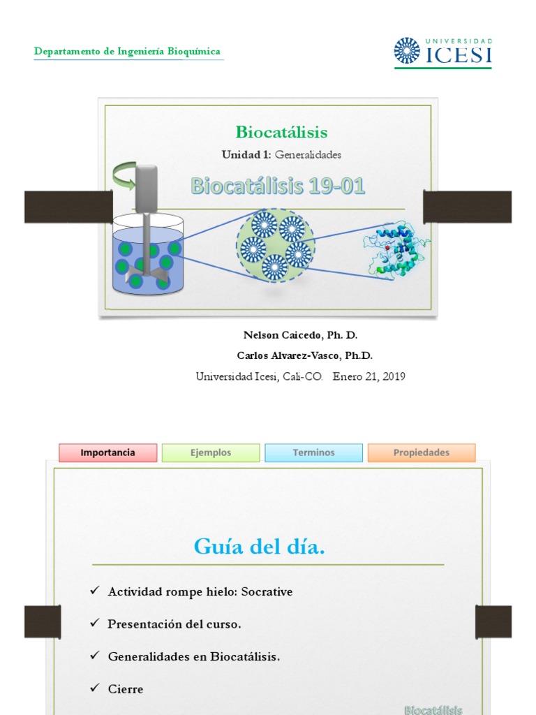 Biocatálisis Clase 1 PDF | PDF | Enzima | Catálisis