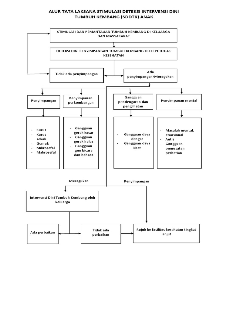 Alur Tatalaksana Sdidtk | PDF