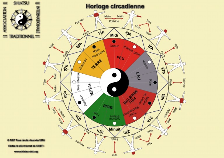 Horloge Circadienne | PDF