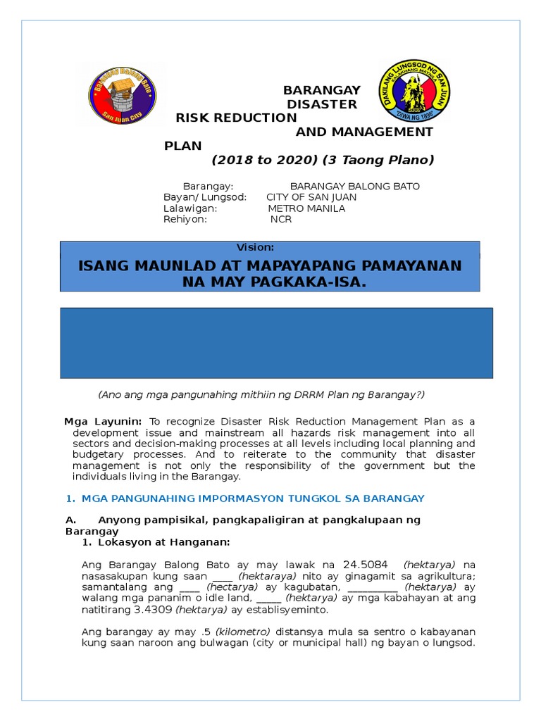 BDRRM Plan 2018-2021 | PDF