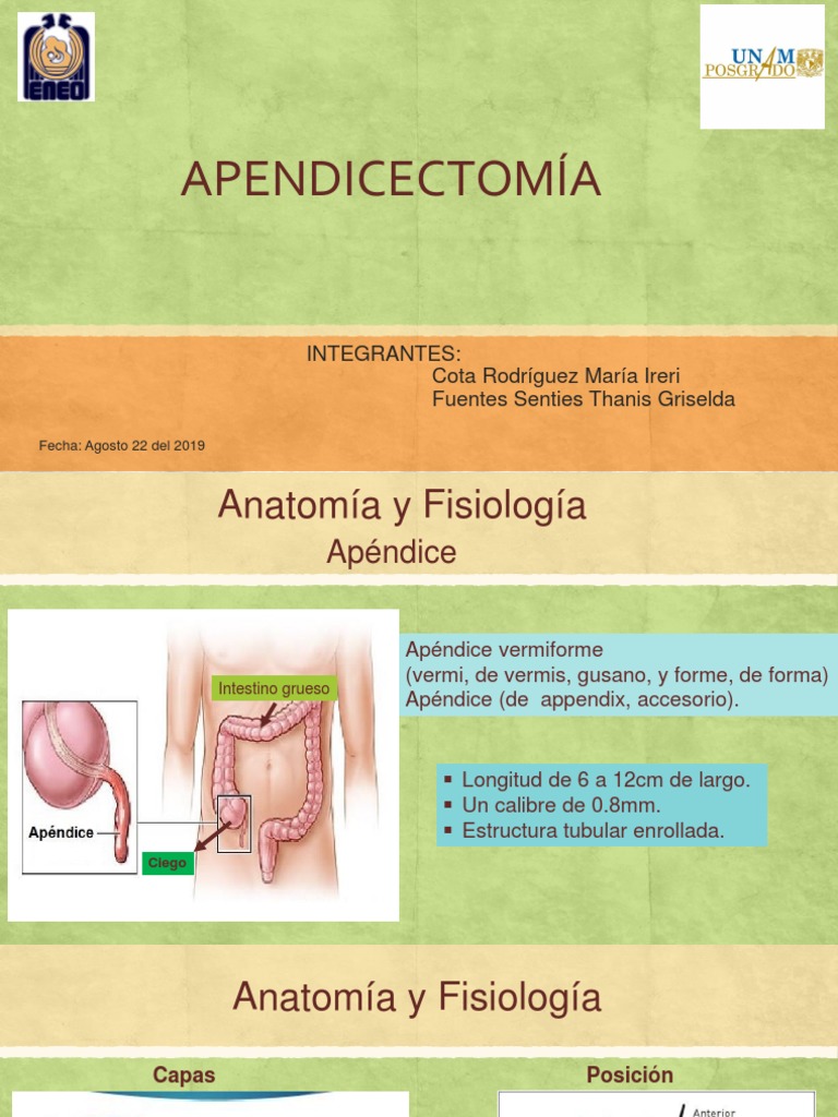APENDICECTOMÍA | PDF | Cirugía | Ciencias de la Salud
