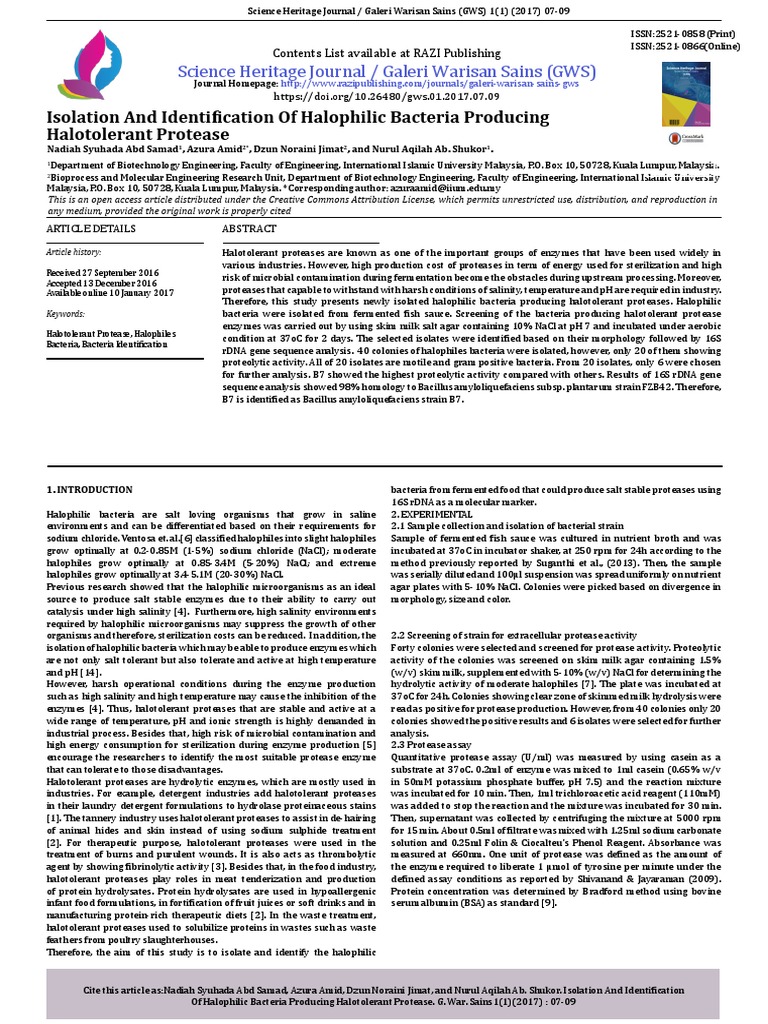 Isolation and Identification of Halophilic Bacteria Producing Halotolerant Protease from ...