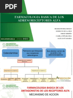 REDUPROST DUO Prospecto Profesionales RAFFO | PDF | Antígeno específico ...