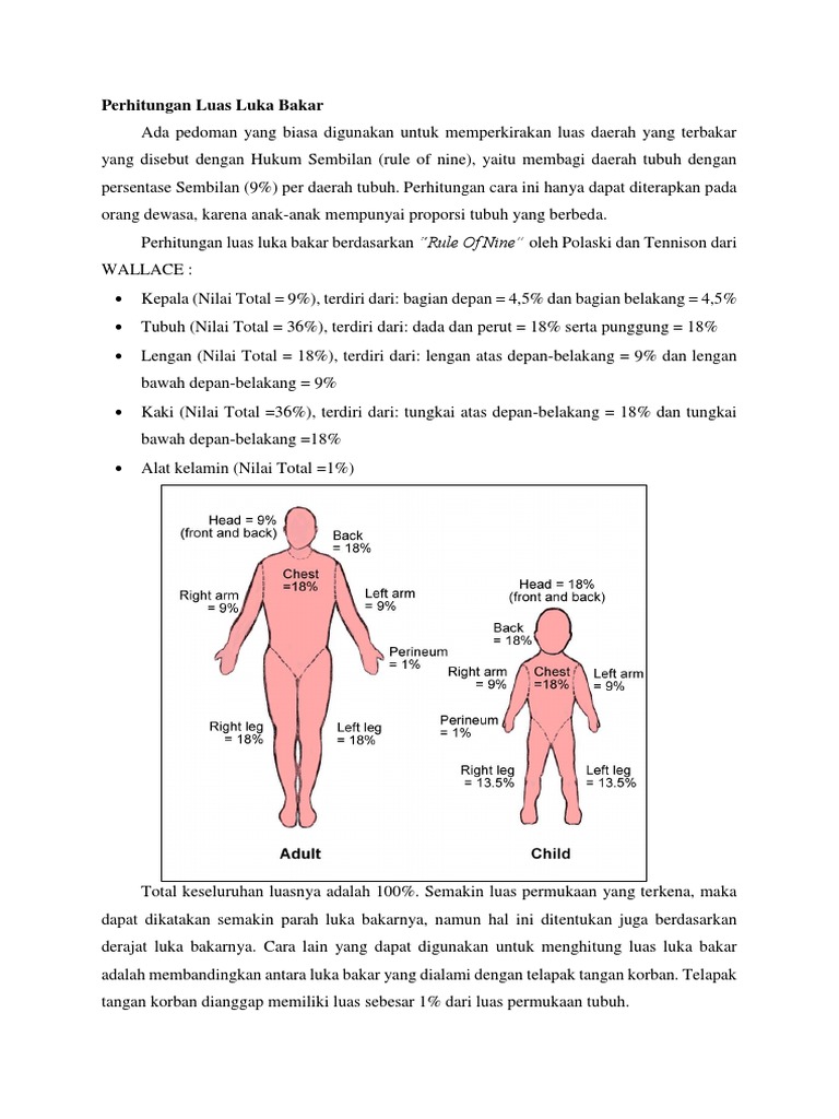 Perhitungan Luas Luka Bakar | PDF