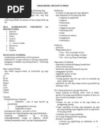 Alamat NG Bundok Apo | PDF