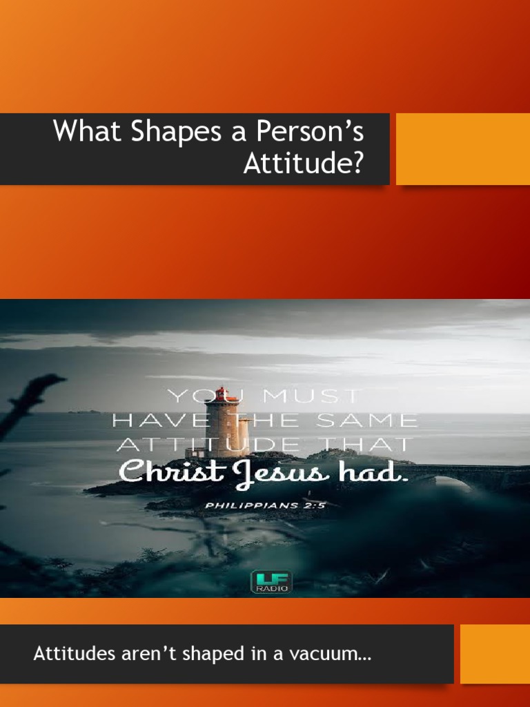 What Shapes A Person's Attitude | PDF