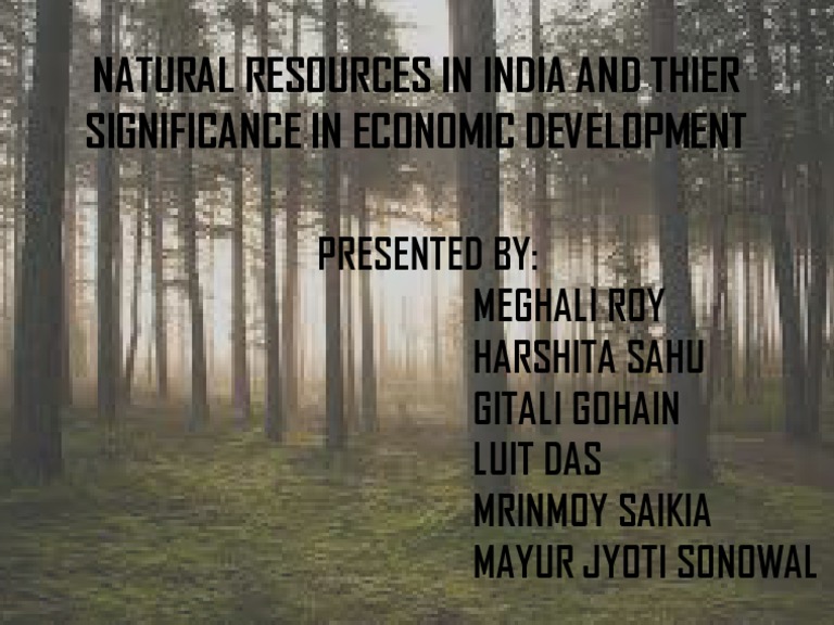 Natural Resources in India and Thier Significance in Economic ...