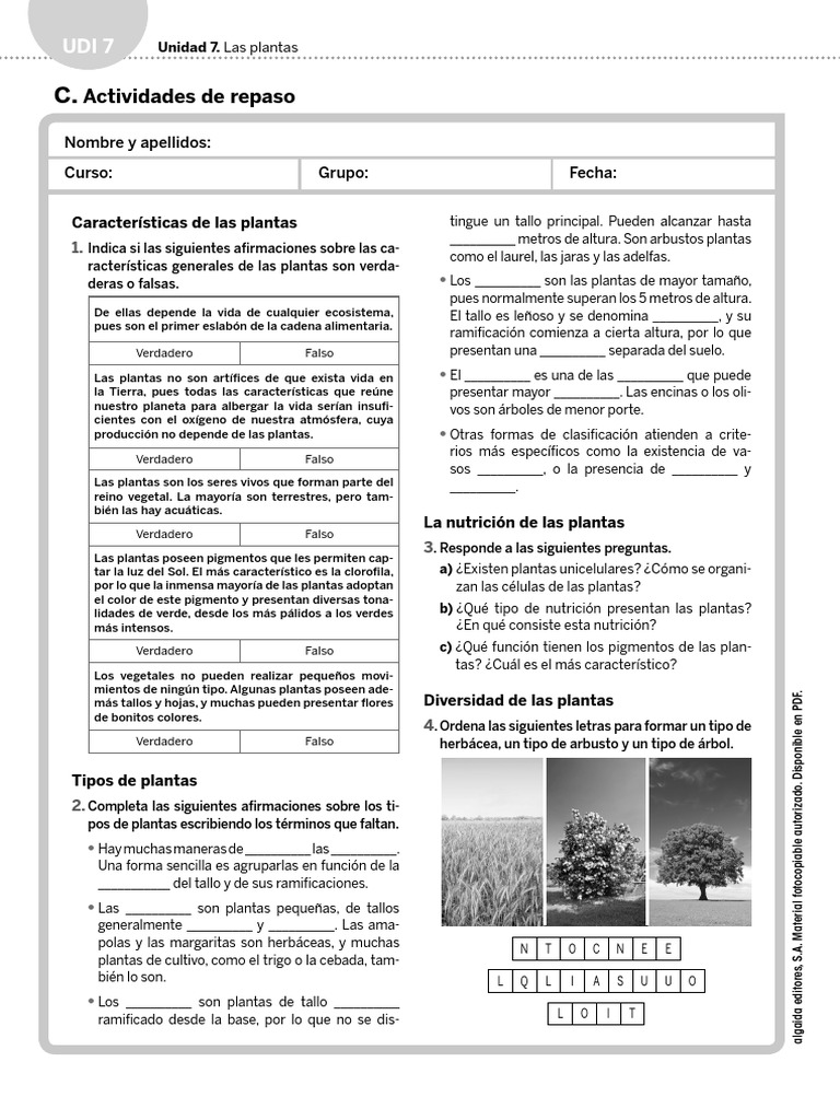 Comprendiendo las características y estructura de las plantas | PDF ...