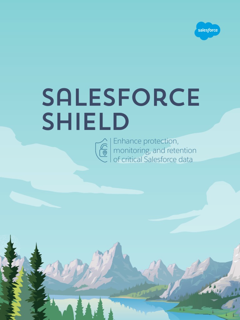 Whitepaper Plsqsqatform Shield | PDF | Salesforce.Com | Computer Security