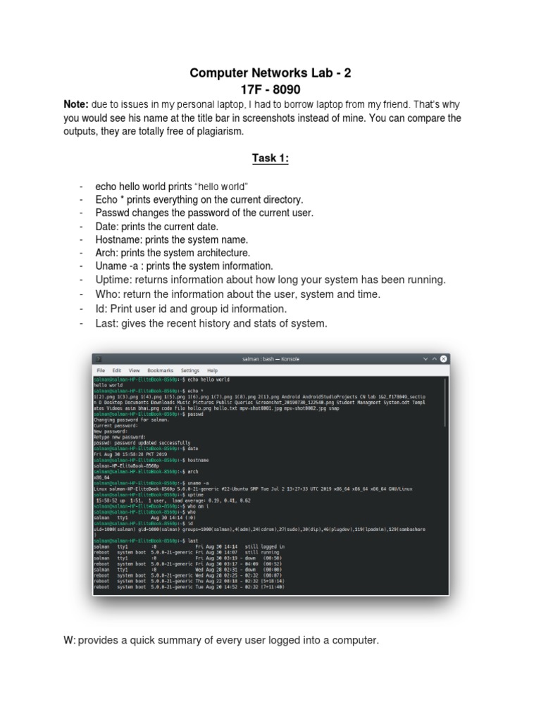 Computer Networking Lab 1 Fast Nuces Pdf Directory Computing System Software