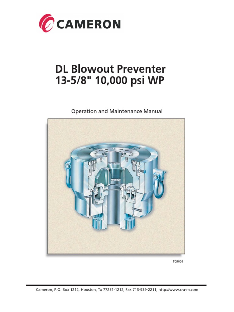 dl annular | Piston | Cylinder (Engine)