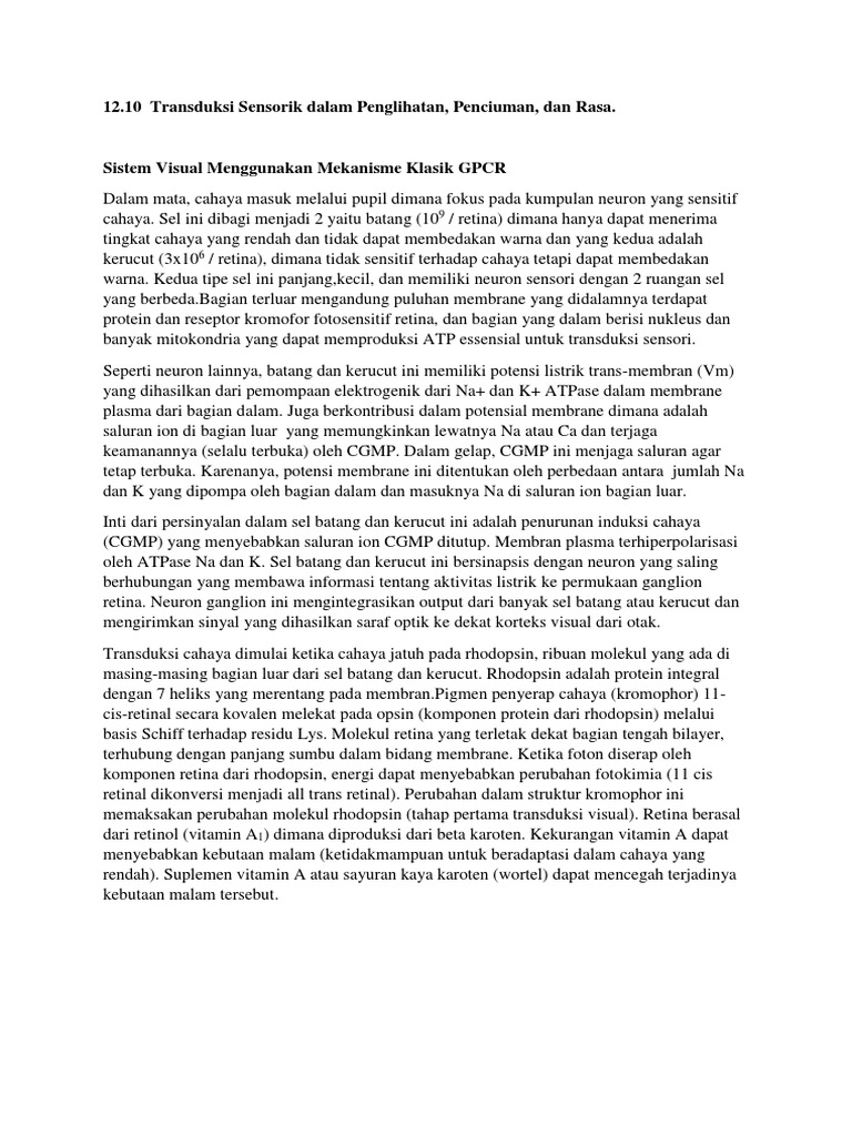 12.10 Transduksi Sensorik Dalam Penglihatan, Penciuman, Dan Rasa | PDF ...