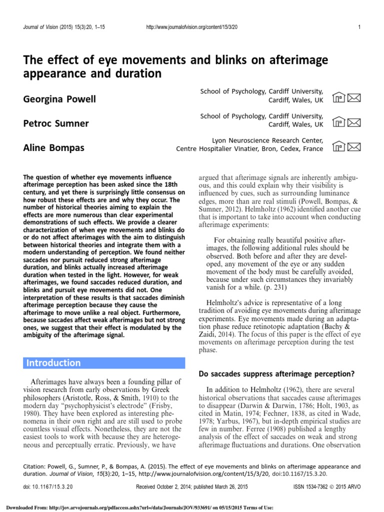 The Effect of Eye Movements and Blinks On Afterimage Appearance and ...