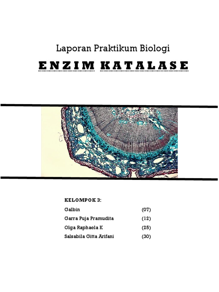 Laporan Praktikum Biologi Enzim Katalase | PDF