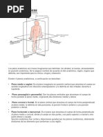 Planos Anatómicos: Sagital, Frontal, Transversal | PDF | Términos ...