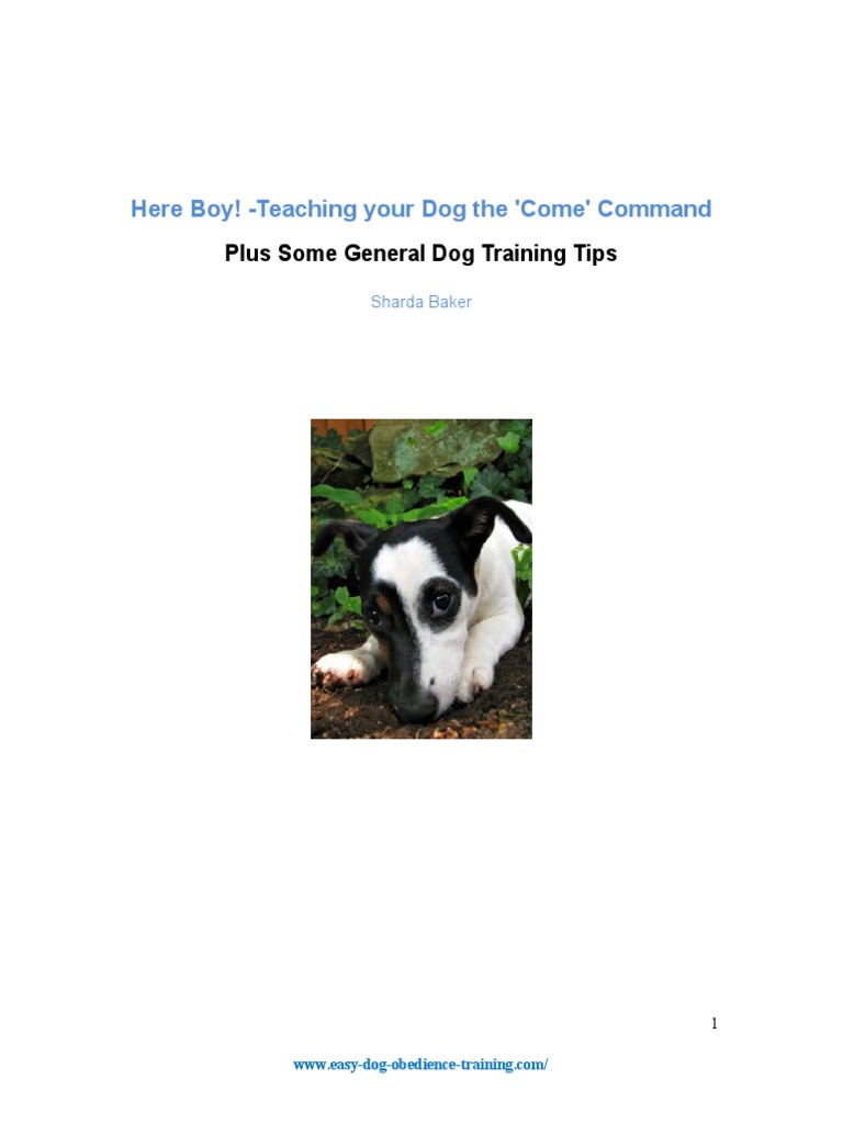 Dog Training Tips | PDF | Pack (Canine) | Dogs