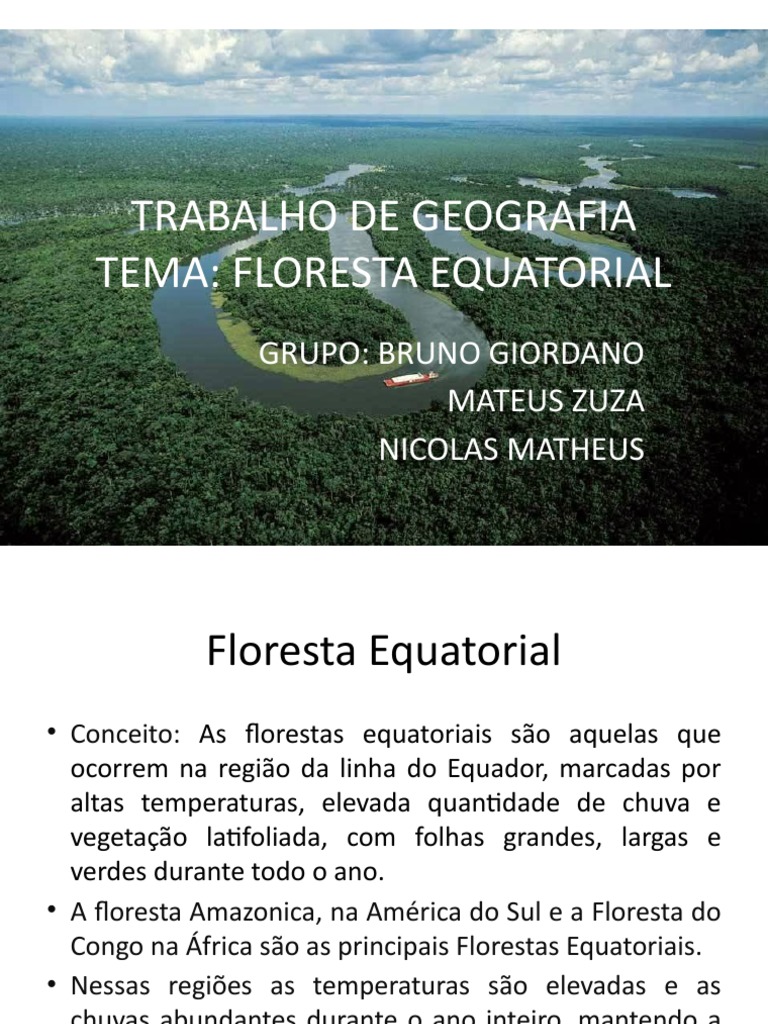 Floresta Equatorial | PDF | Floresta Amazônica | Árvores